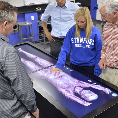 Anatomage - Simulação na saúde