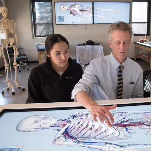 Anatomage - Simulação na saúde