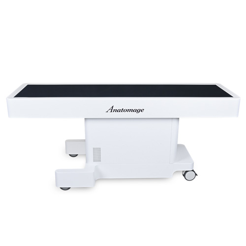 Anatomage - Simulação na saúde