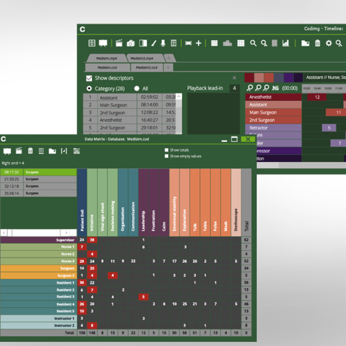 Software de avaliação de desempenho CODIMG - Simulação na saúde